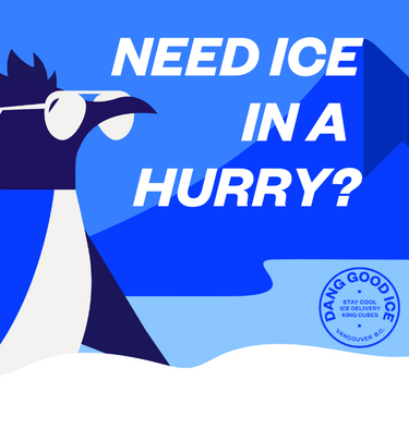 Dang Good Ice | Vancouver's Ice Delivery Service